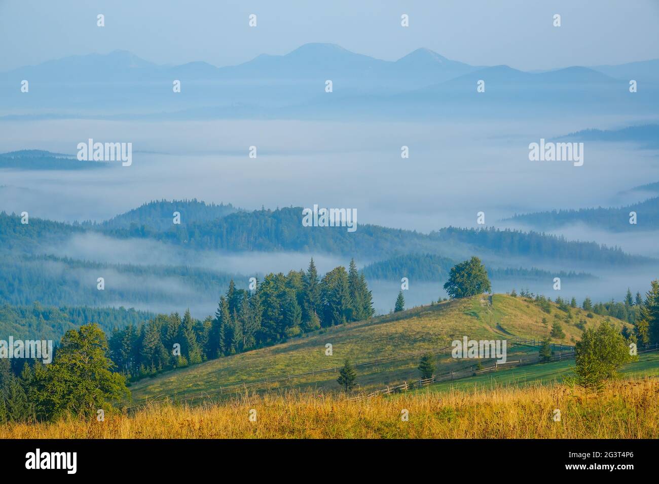 Summer scenic scenic light and mist hi-res stock photography and images ...