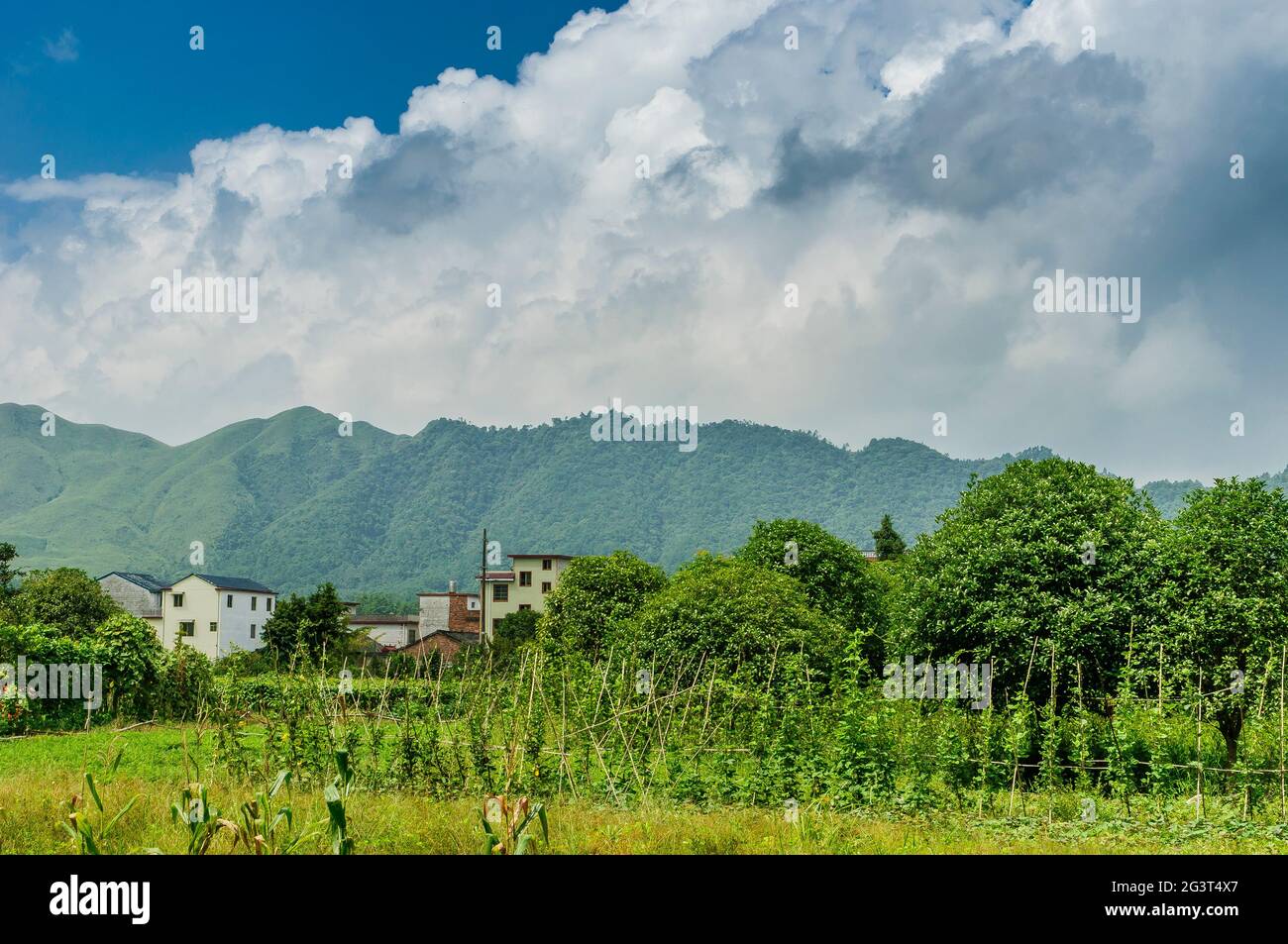 countryside scenery with sky in summer Stock Photo - Alamy