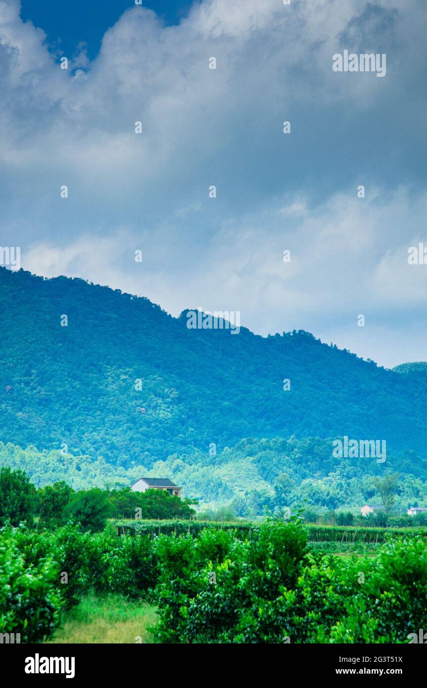 Rural scenery in spring Stock Photo - Alamy