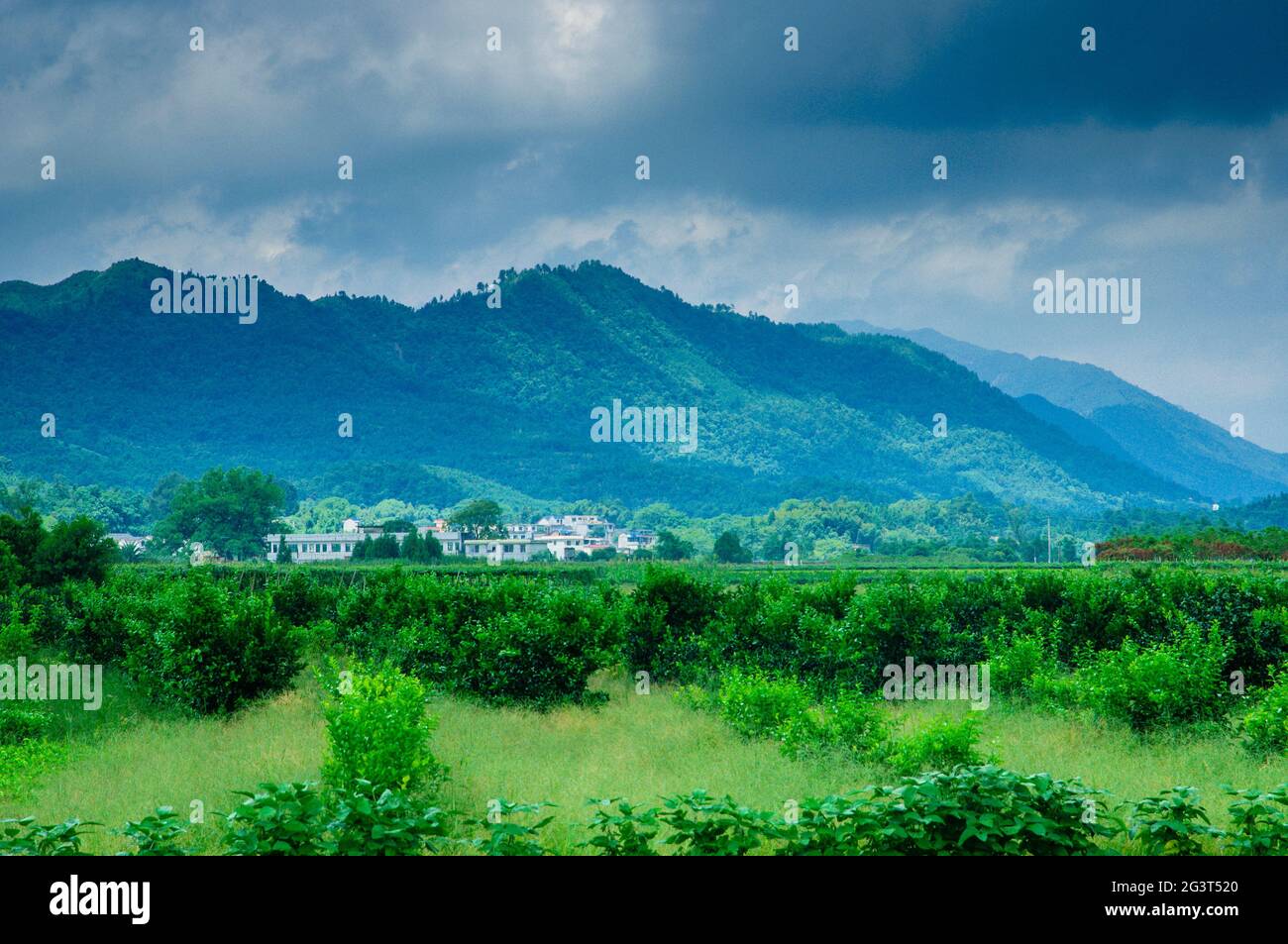 Rural scenery in spring Stock Photo - Alamy