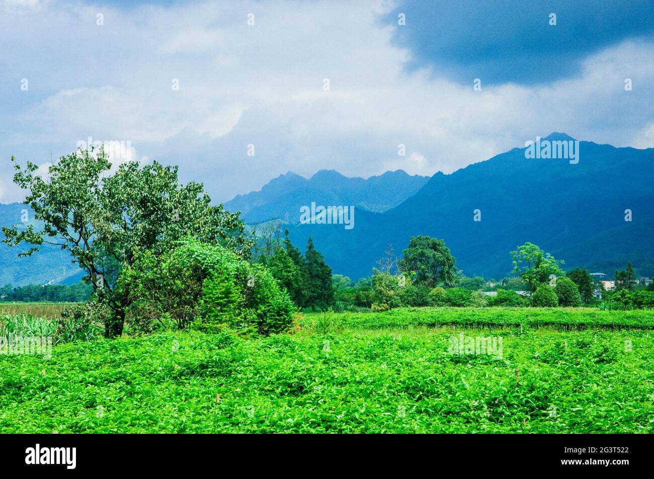 Beautiful green sping rural hi-res stock photography and images - Alamy