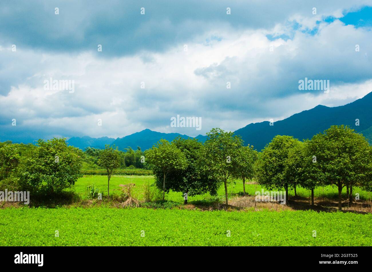 Rural scenery in spring Stock Photo - Alamy