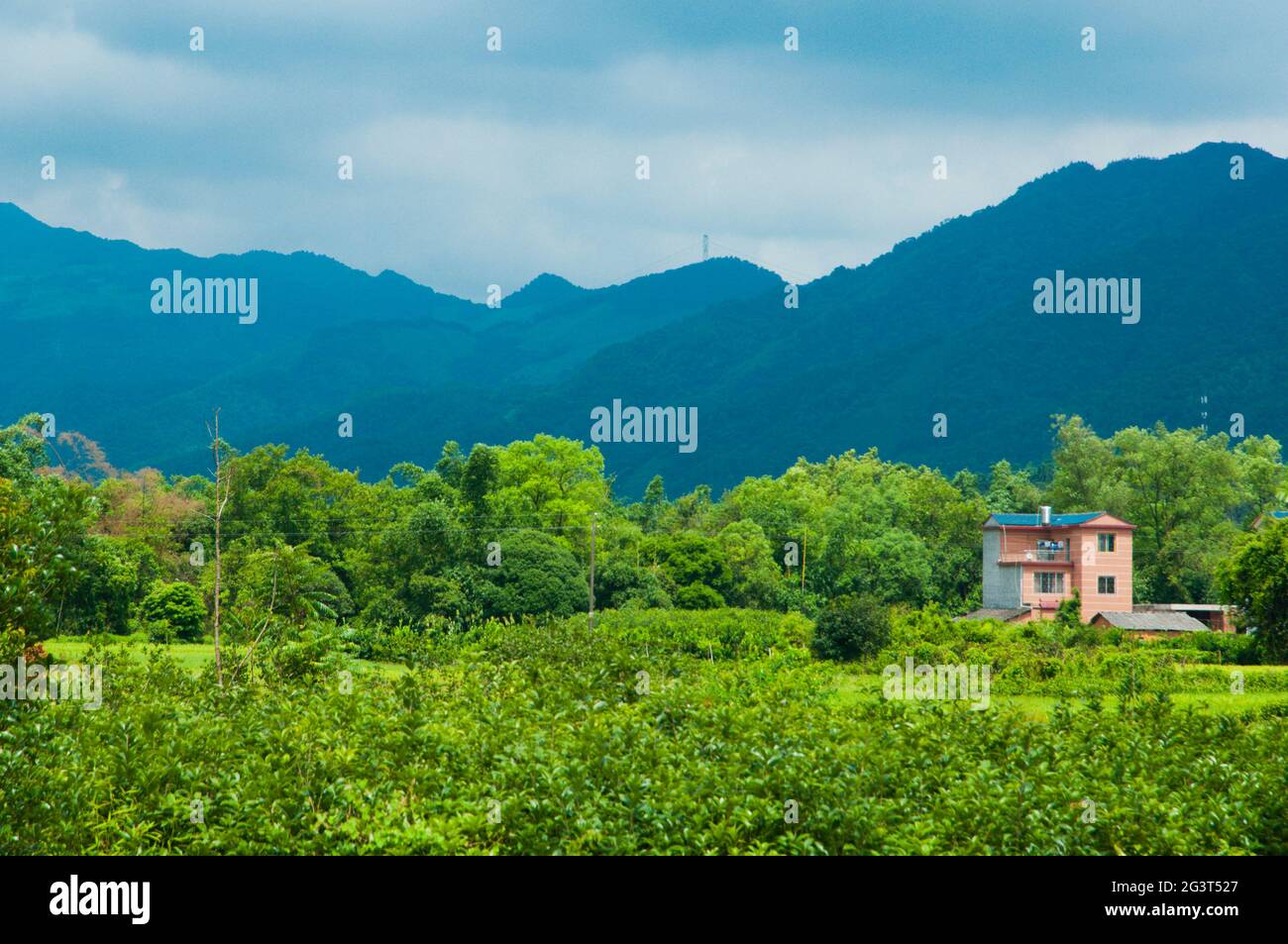 Rural scenery in spring Stock Photo - Alamy