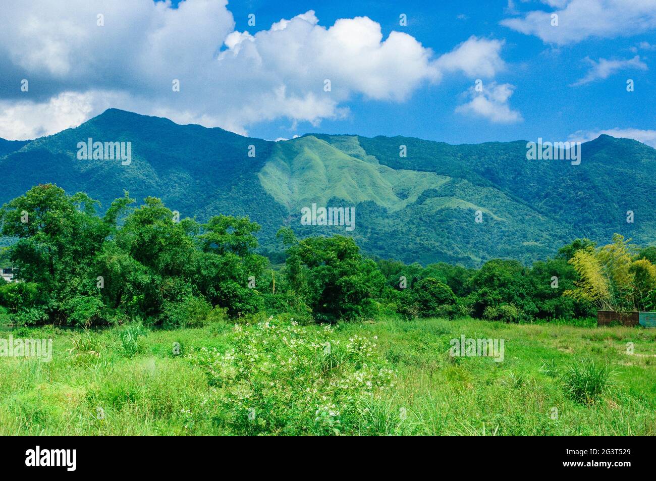 Rural scenery in spring Stock Photo - Alamy