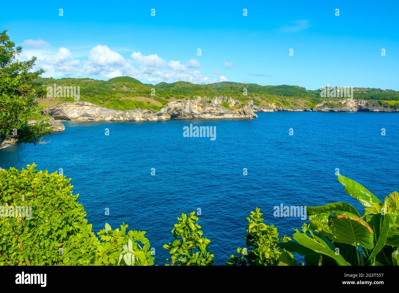 Bay wild hi-res stock photography and images - Alamy