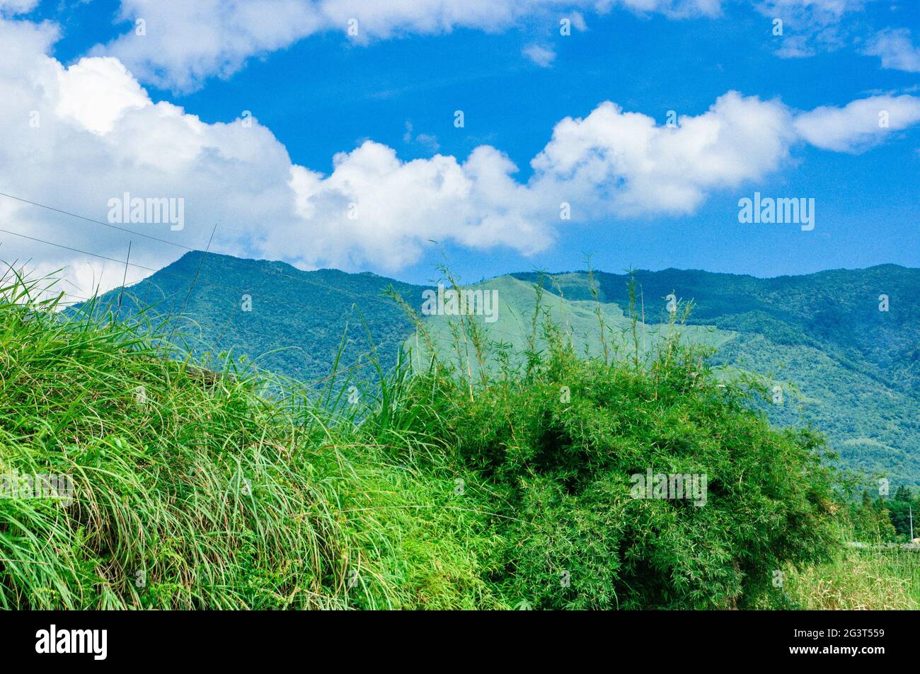 Rural scenery in spring Stock Photo - Alamy