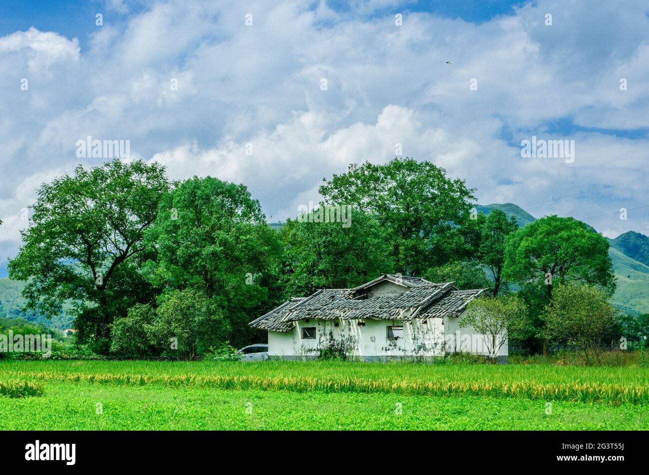 countryside scenery with sky in summer Stock Photo - Alamy