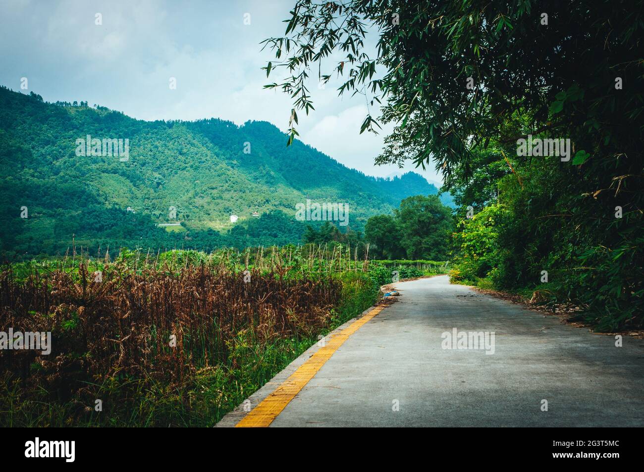 Countryside road in spring Stock Photo - Alamy