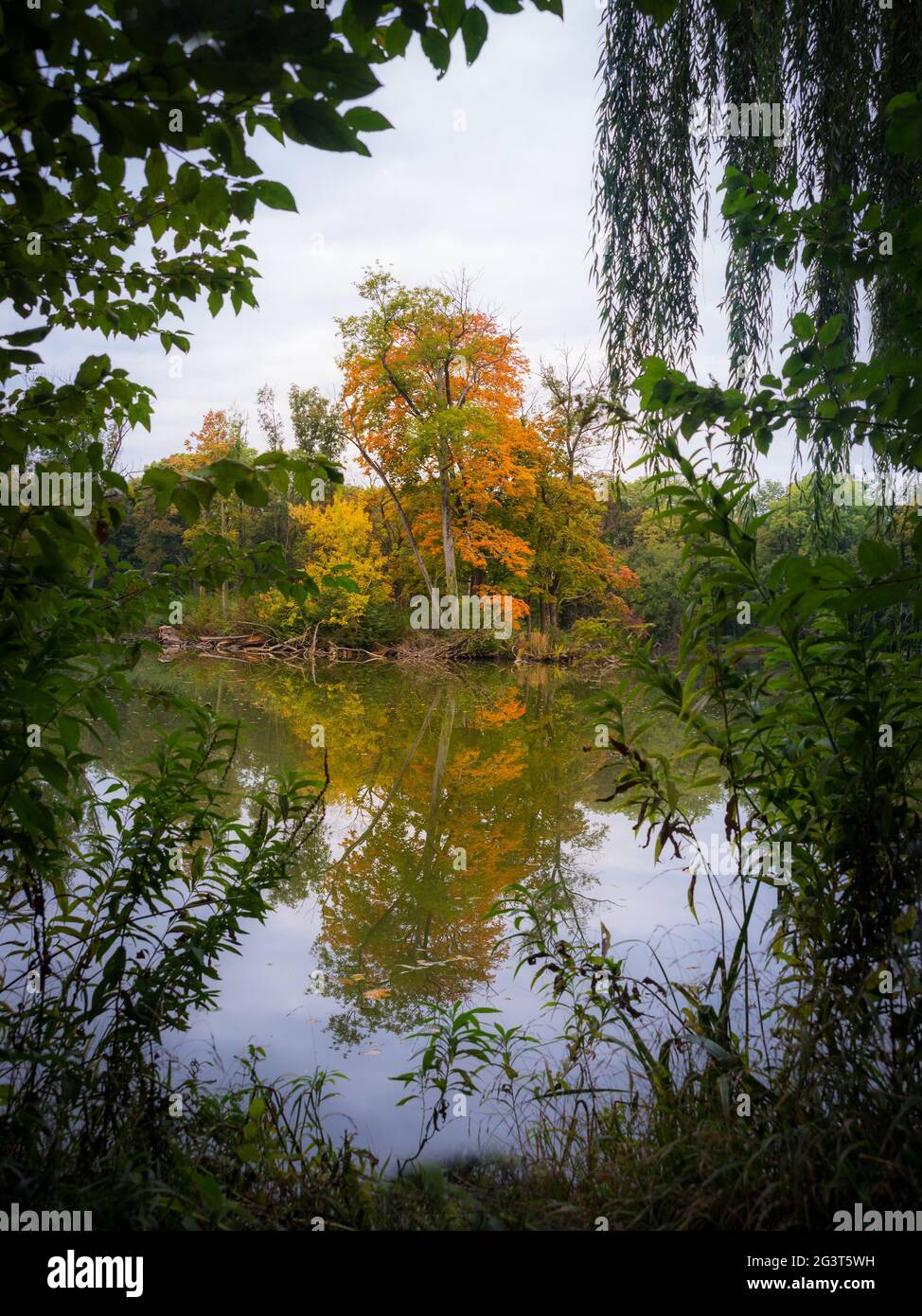 Symmetrical trees hi-res stock photography and images - Alamy