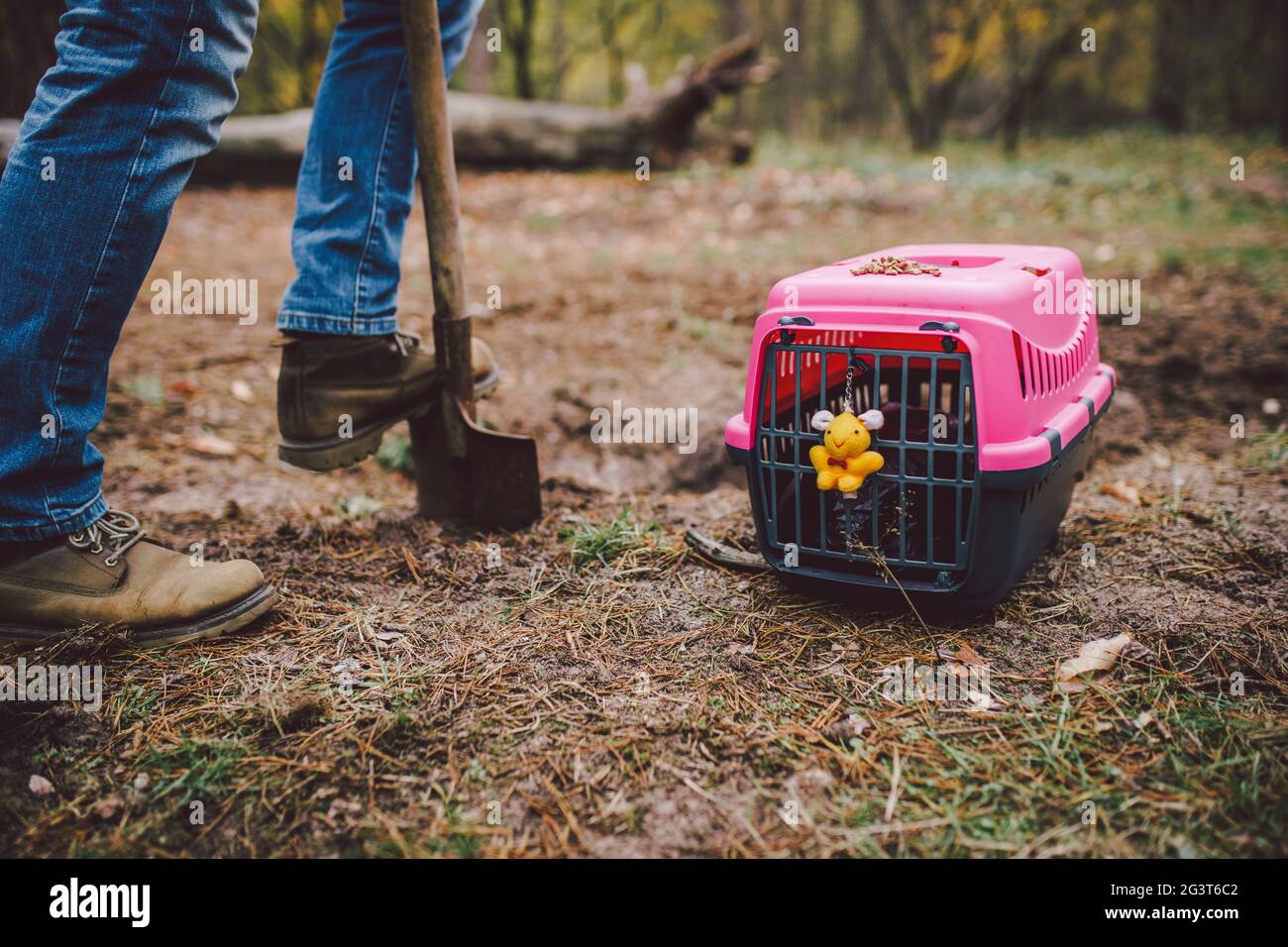Scary horror scene man digs grave for animal in forest. Terrible loss ...