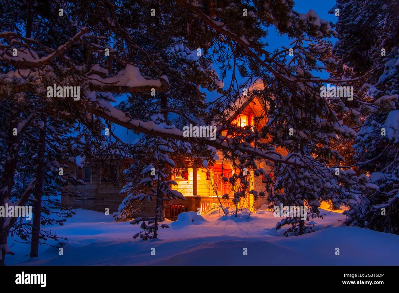 Snowy Pine Branches and Lighted Forest Cottage Stock Photo - Alamy