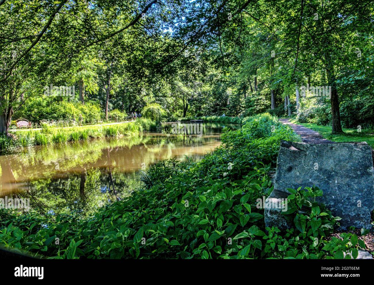 Grove shrubs trees hi-res stock photography and images - Alamy