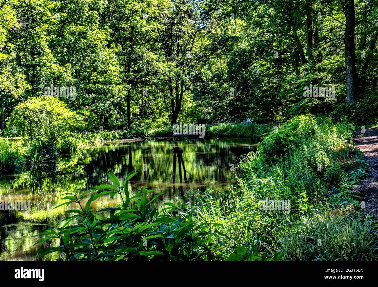 Grove shrubs trees hi-res stock photography and images - Alamy