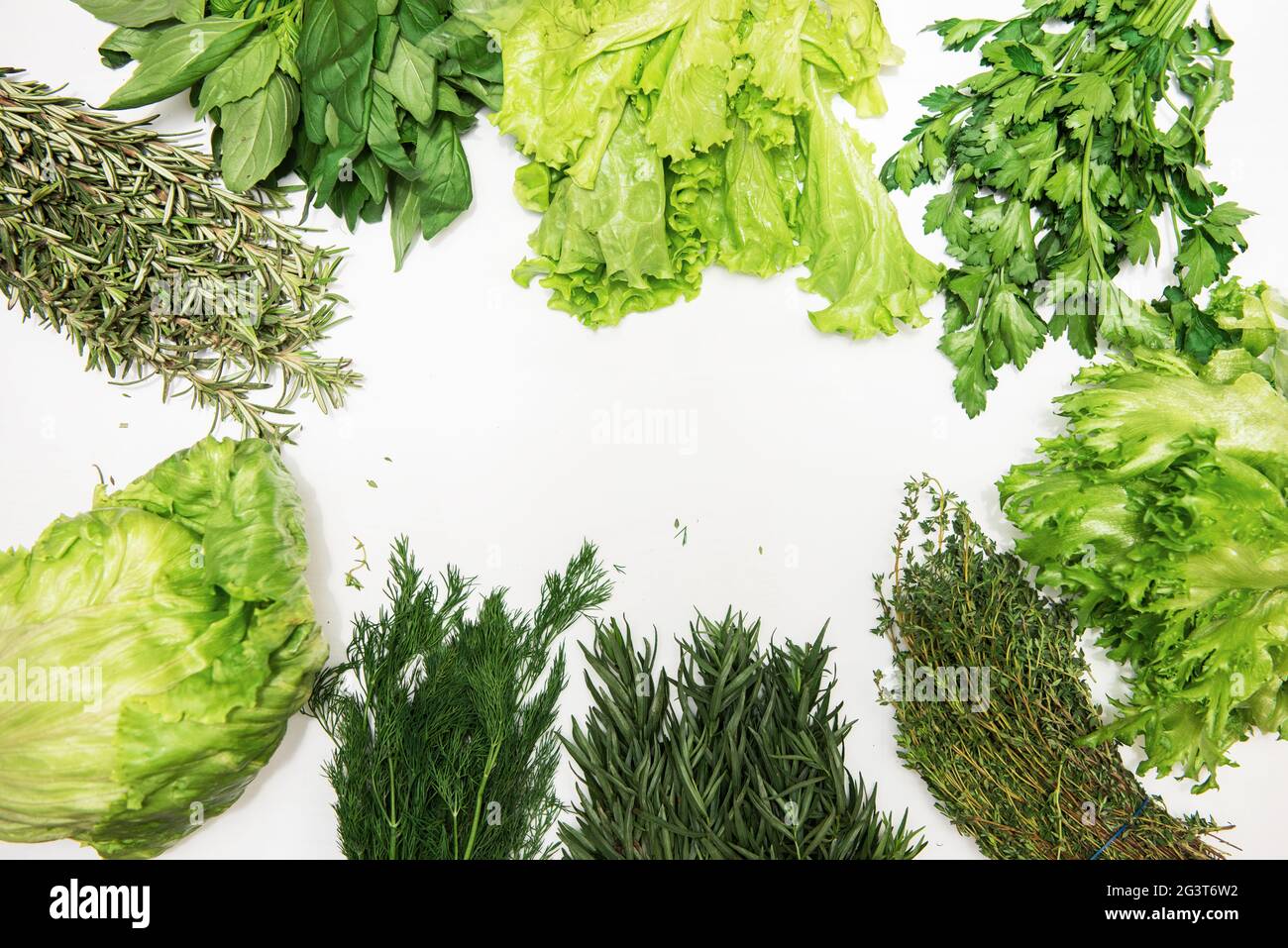 Different types of fresh garden herbs Stock Photo - Alamy