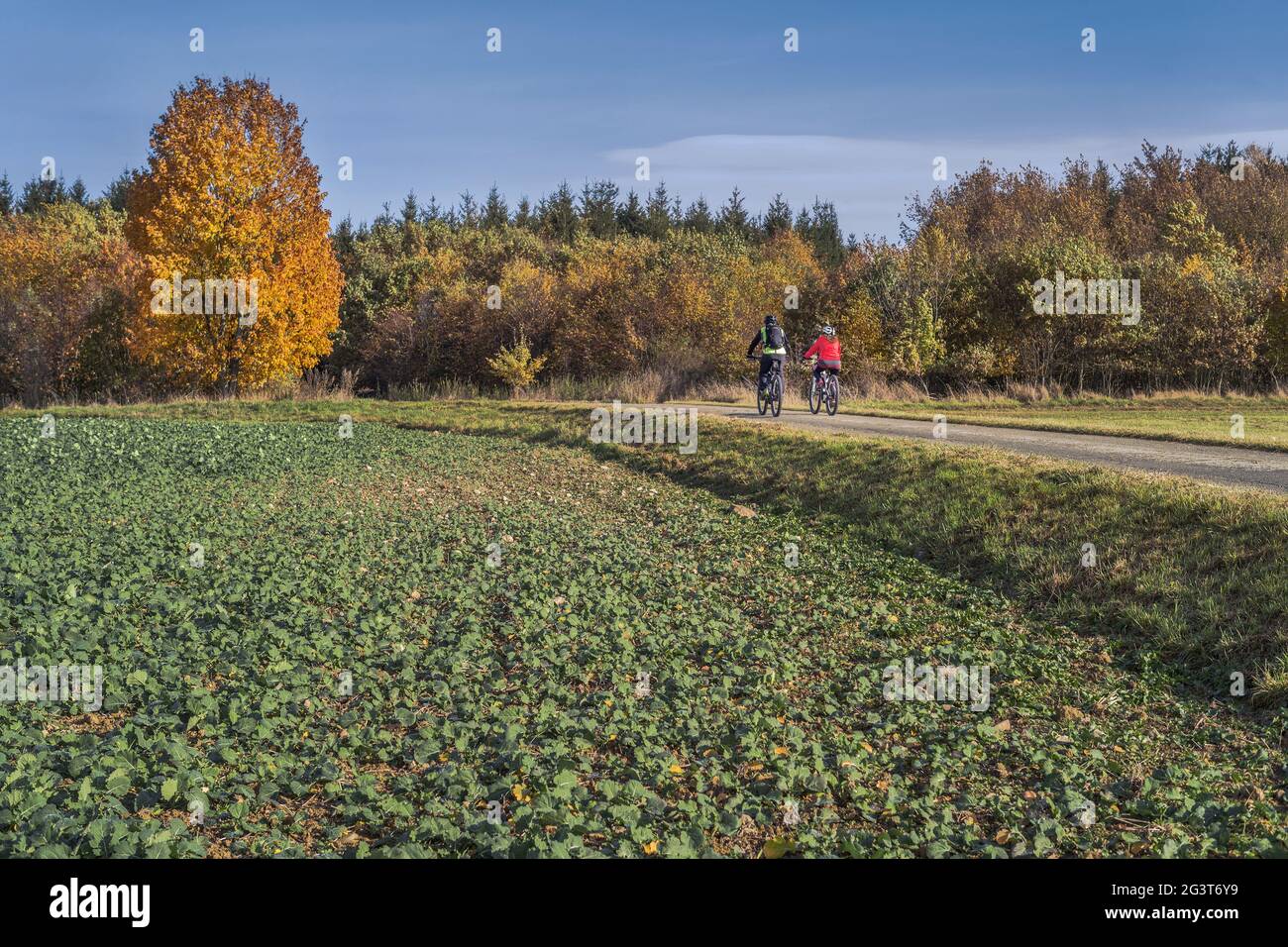 Bicycle tour in autumn Stock Photo - Alamy
