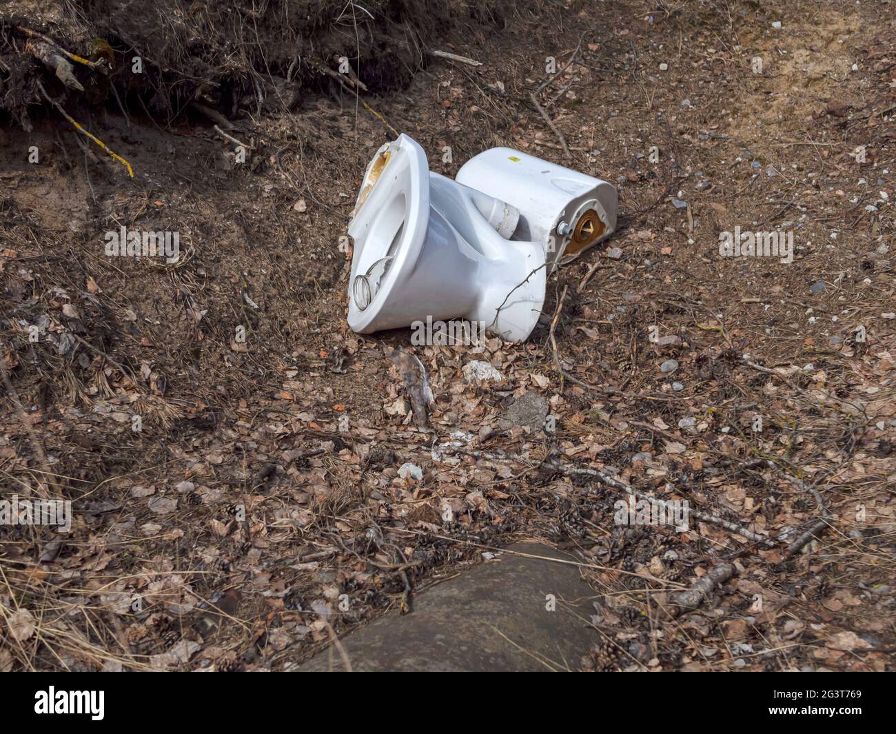 Toilet Litter. Pollution of the forest by household rubbish on nature ...