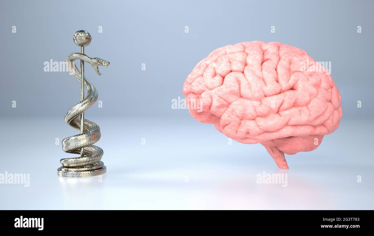 Neuroscience hi-res stock photography and images - Alamy