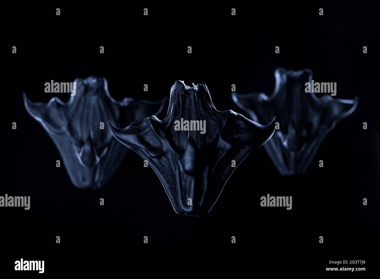 Fire demons hi-res stock photography and images - Alamy