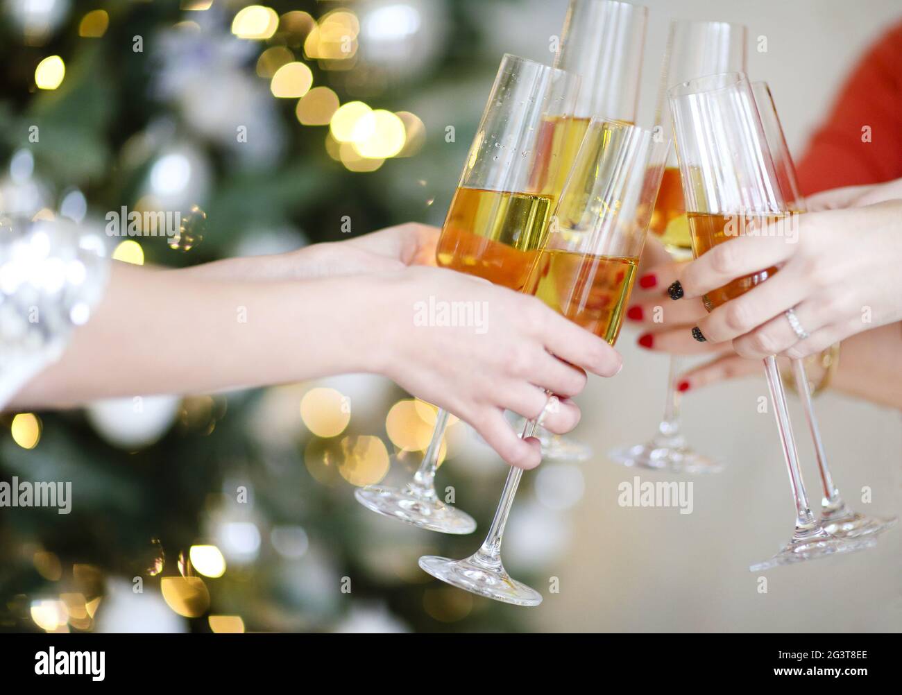Women proposing toast during party Stock Photo - Alamy
