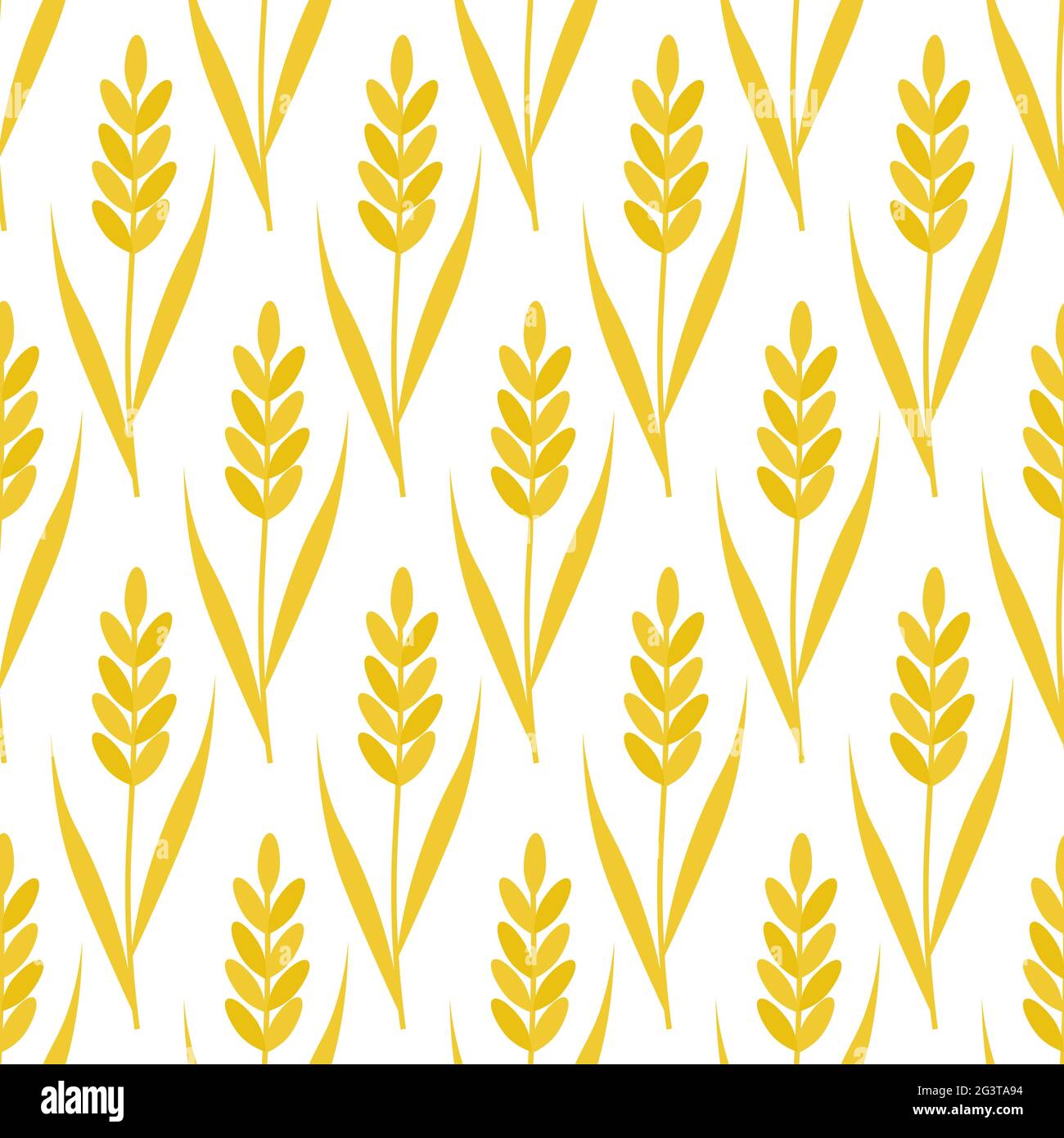 Pattern with yellow ears. Vector illustration isolated on white ...