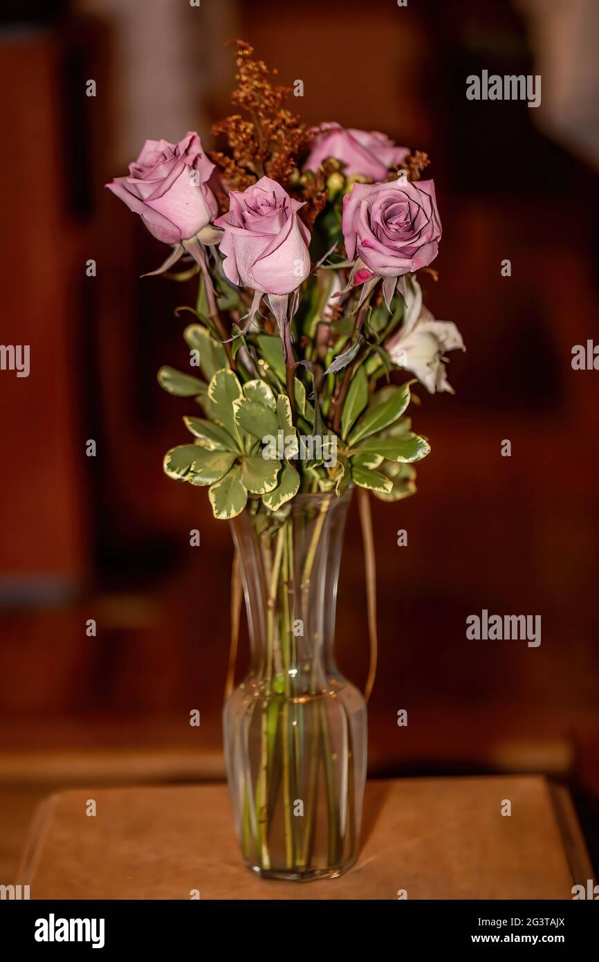 Beautiful violet lavender bouquet hi-res stock photography and images ...