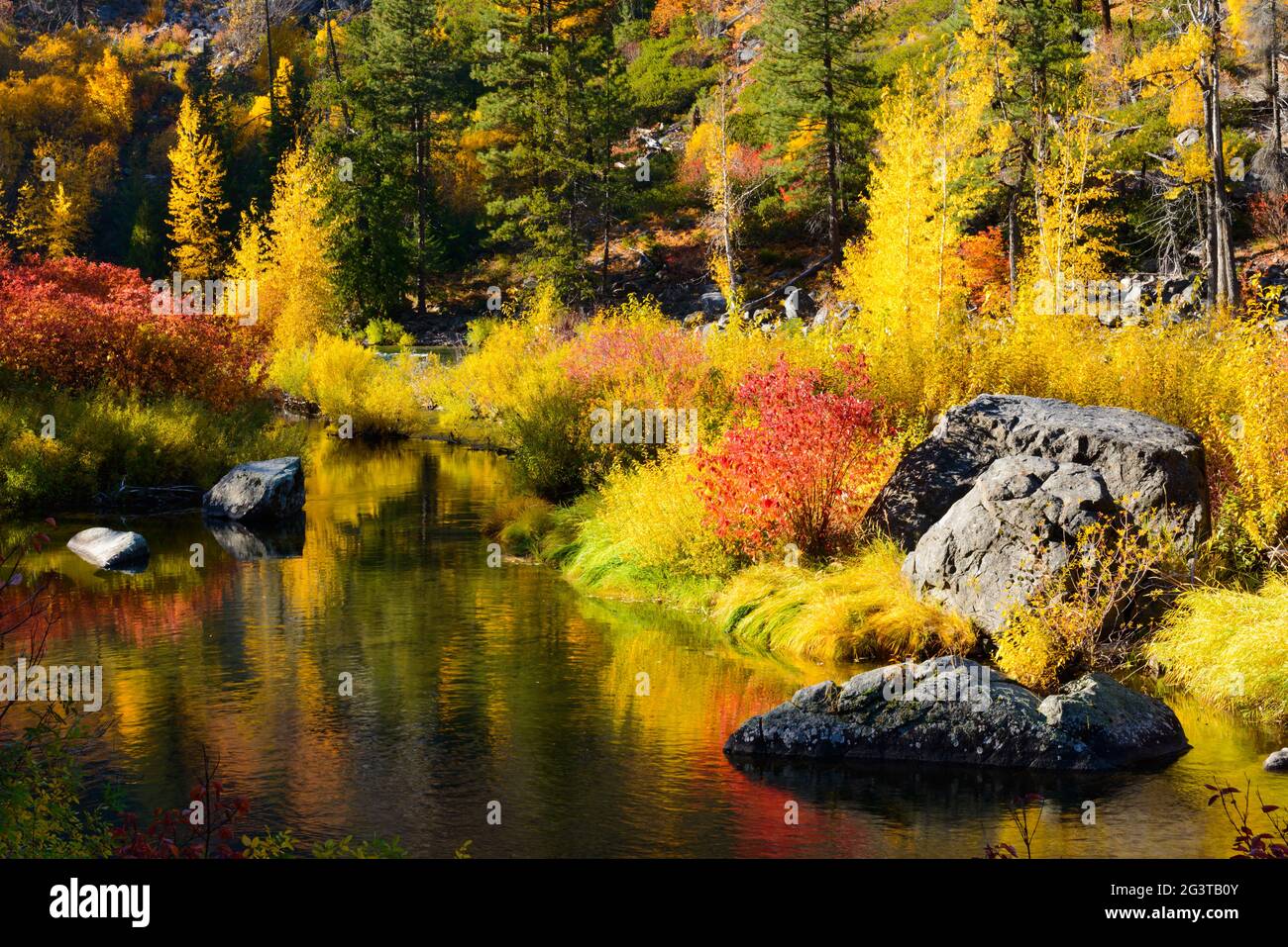 Fall colors putting on a show in the Tumwater Canyon in the Cascade ...