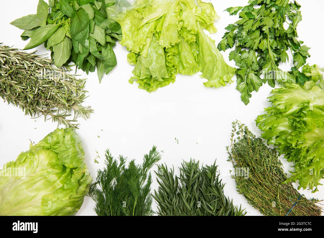 Different types of fresh garden herbs Stock Photo - Alamy
