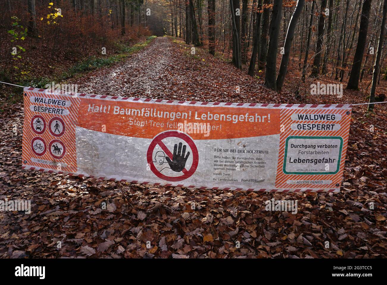 Tree blocking road sign hi-res stock photography and images - Alamy