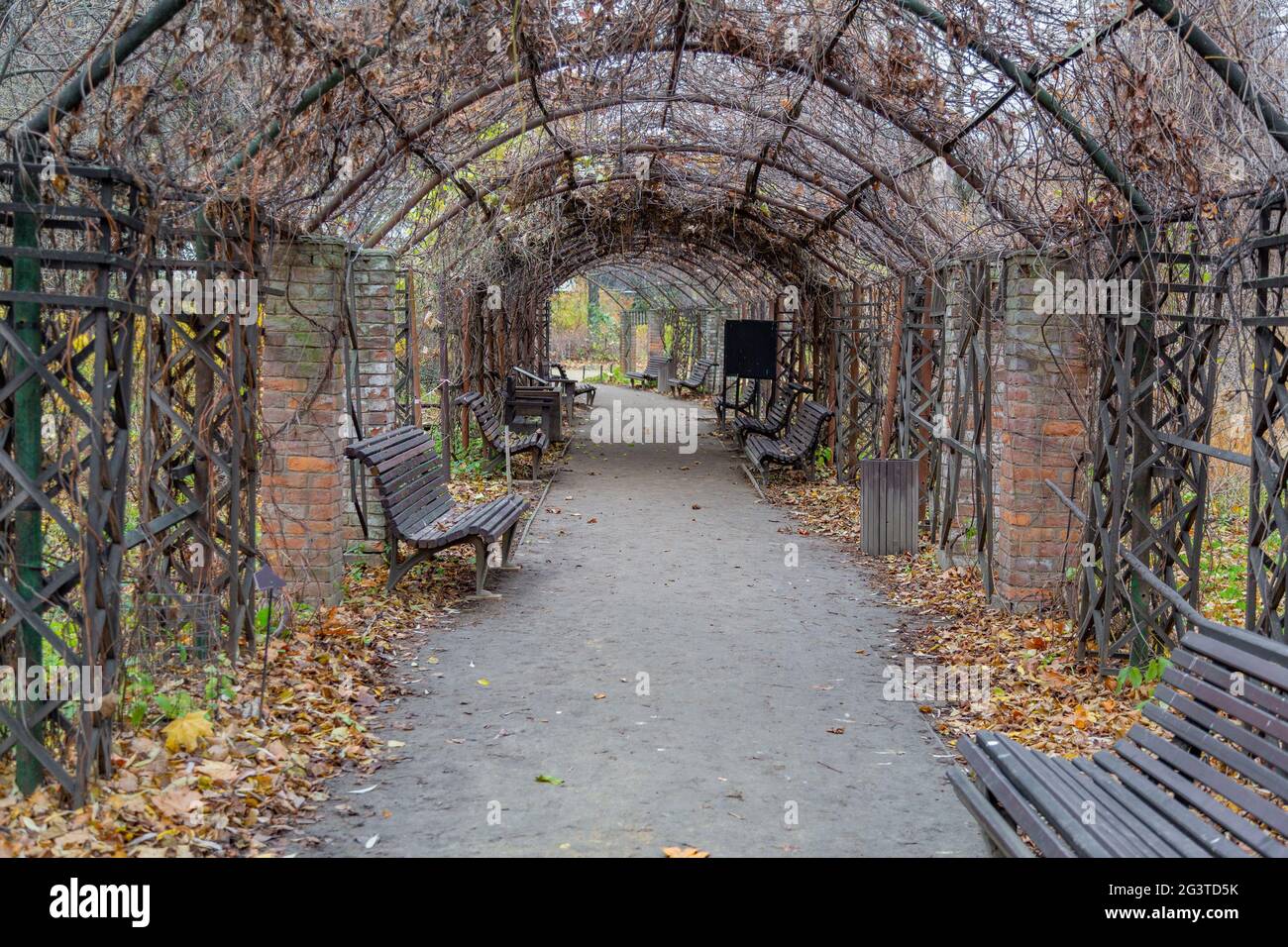 Easy architectural structure in the autumn park Stock Photo - Alamy
