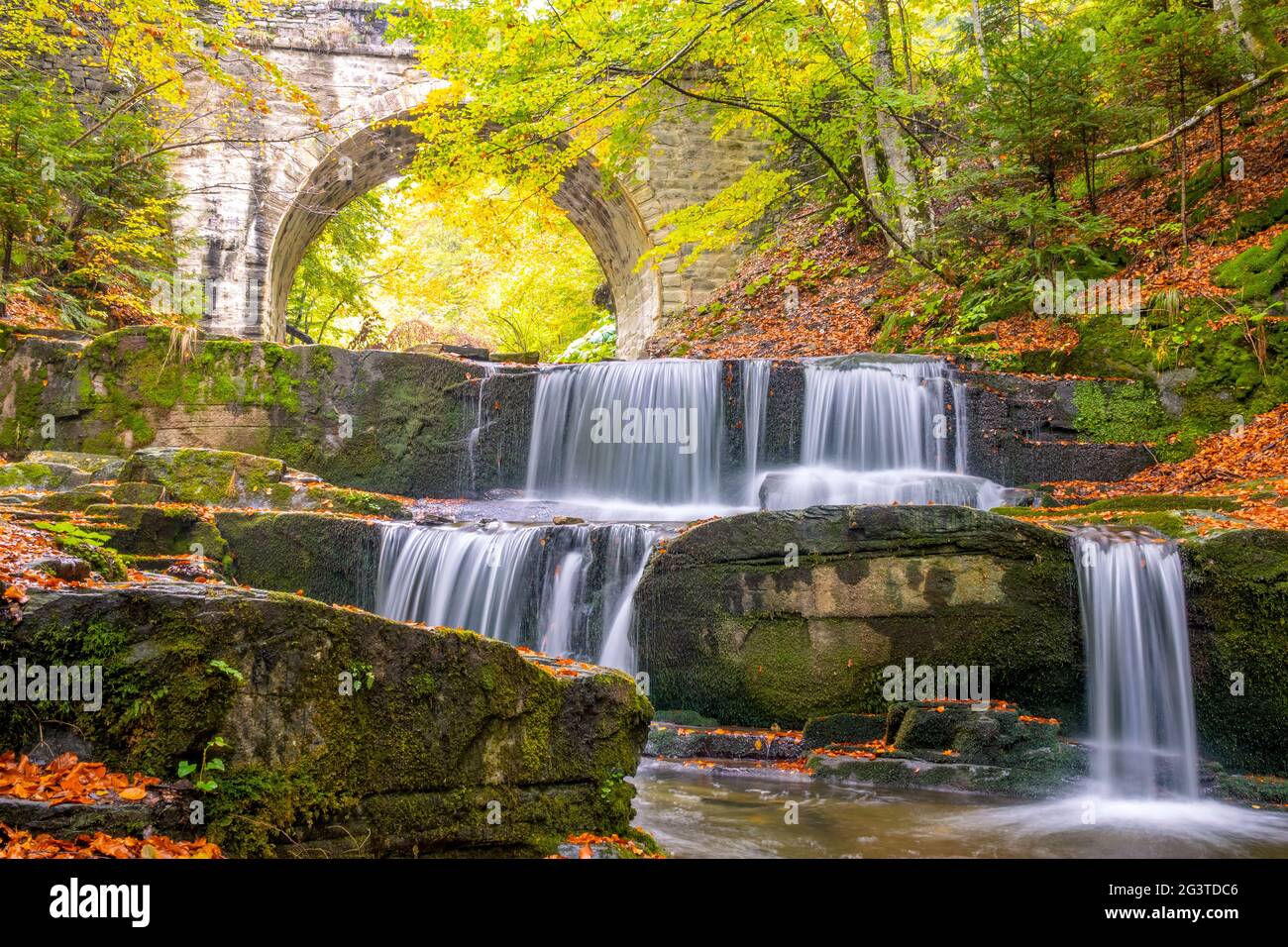Arch of a Stone Bridge in the Forest and River Waterfall Stock Photo ...