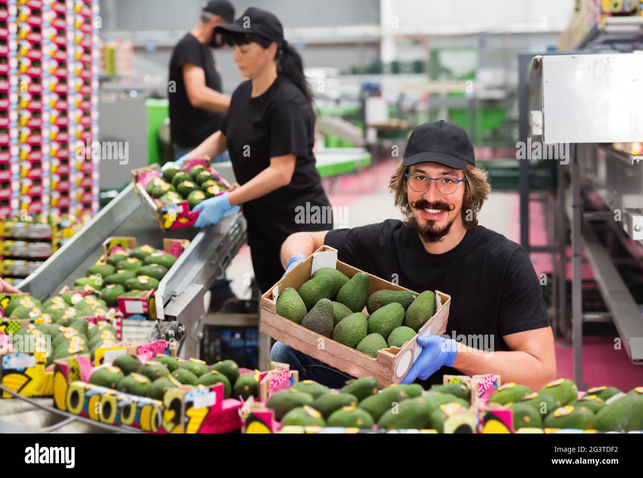 Avocado crates hi-res stock photography and images - Alamy