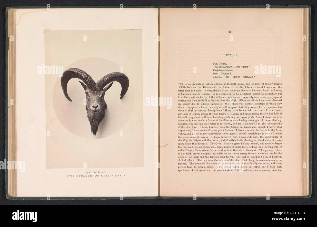 The oorial Stock Photo - Alamy