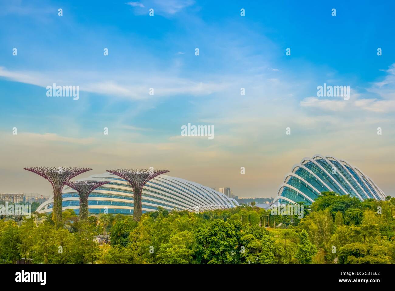 Superflowers and Flower Dome at Evening Stock Photo - Alamy