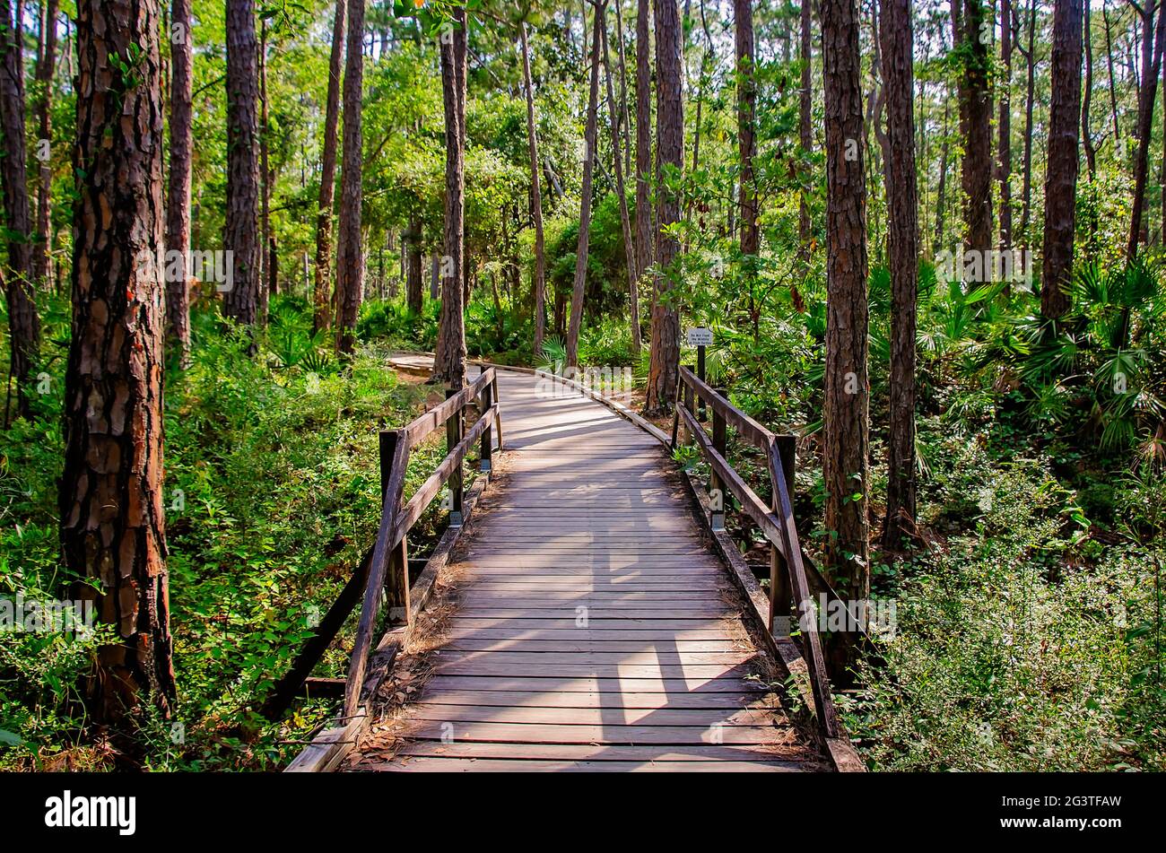 A walking trail winds through Audubon Bird Sanctuary, June 17, 2021, in ...