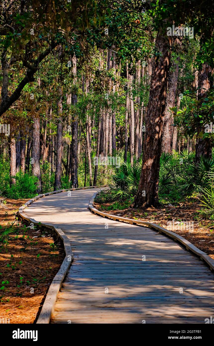 A walking trail winds through Audubon Bird Sanctuary, June 17, 2021, in ...