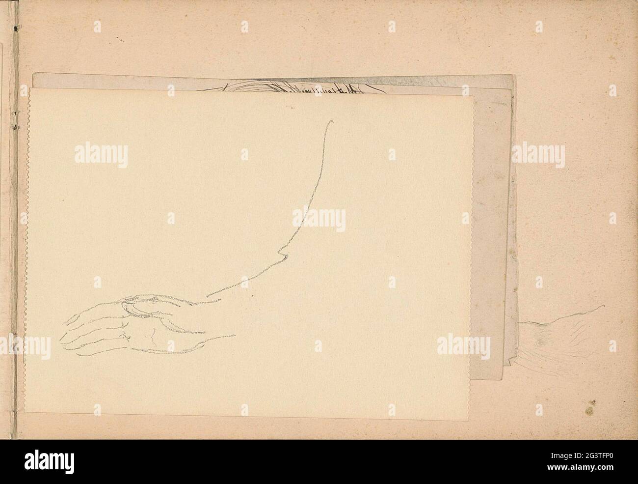 Hand. Loose drawing between the front bract and sheet 1 from a ...