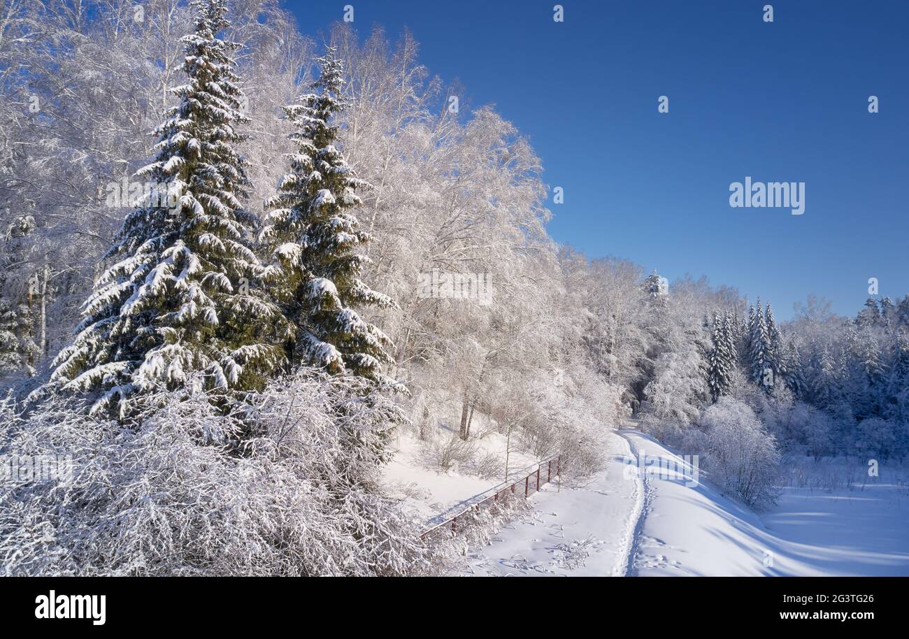 Aerial photo of forest under snow in winter season in Siberia Stock ...
