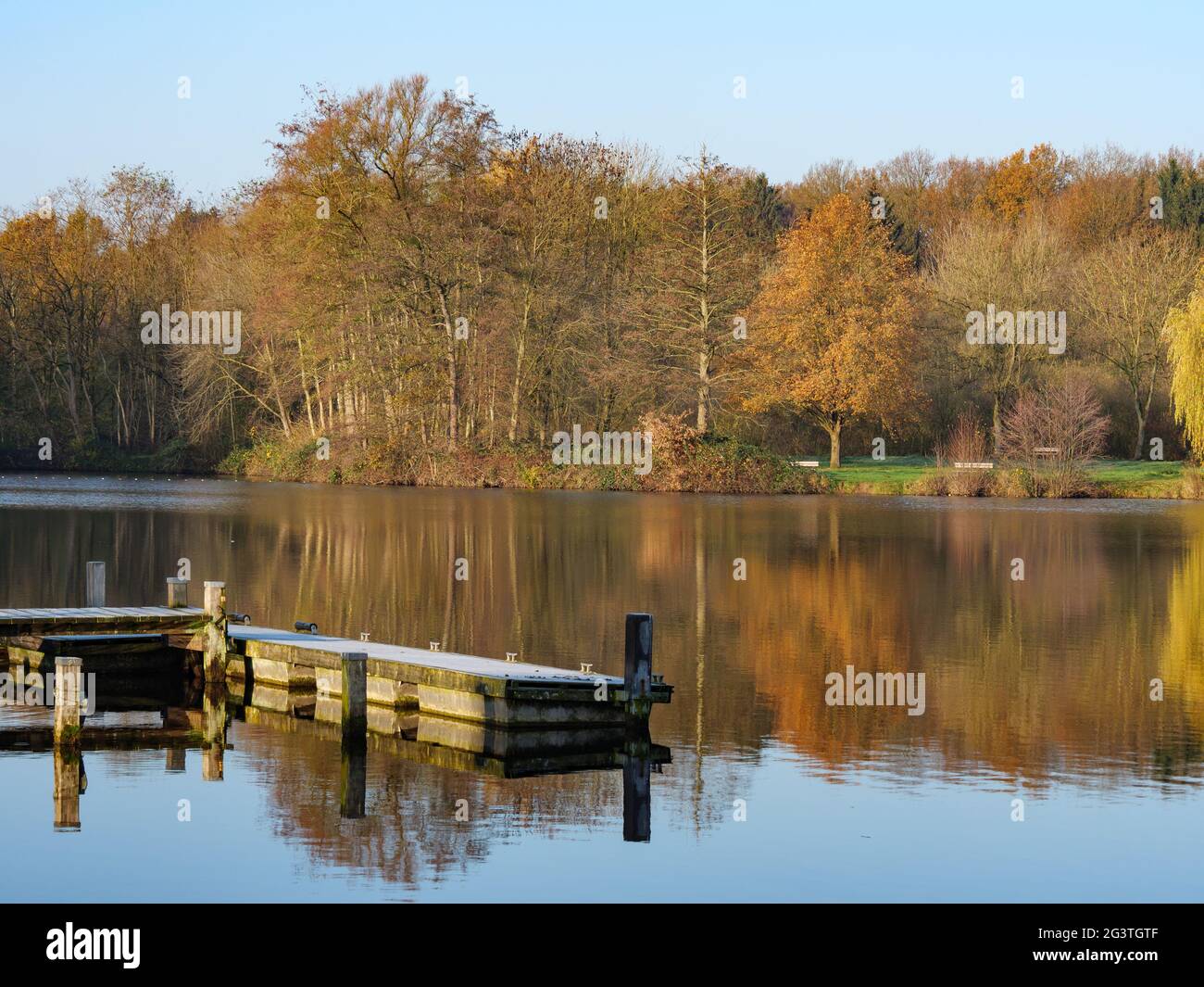 Autumn at a lake in the MÃ¼nsterland Stock Photo - Alamy