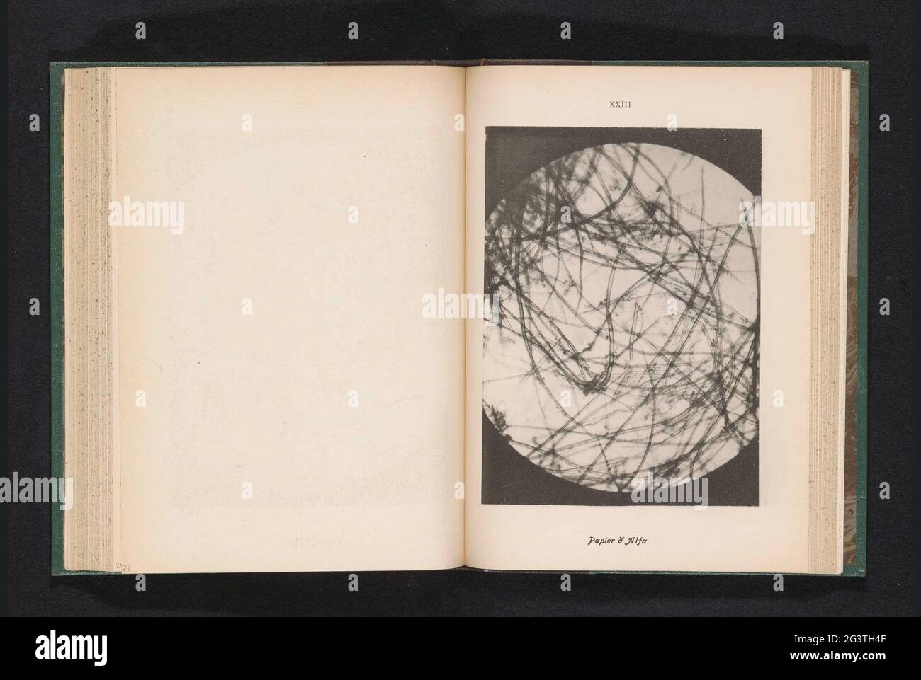 Micro Fibers High Resolution Stock Photography and Images - Alamy