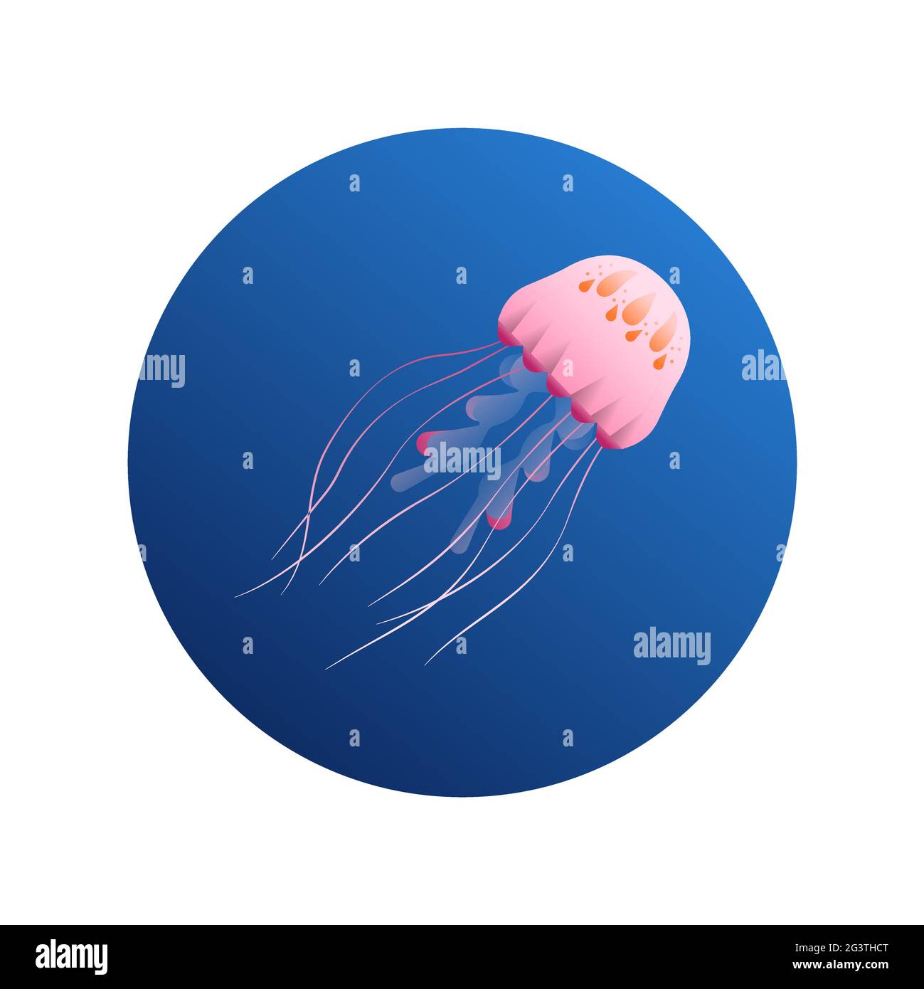 Flat jellyfish illustration Stock Vector Images - Alamy
