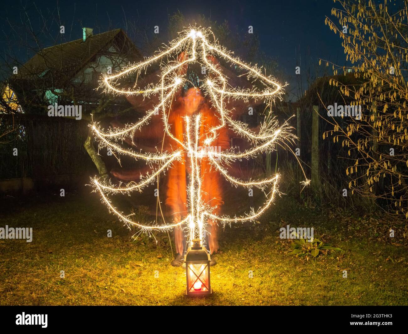 Light Painting Photography Tree