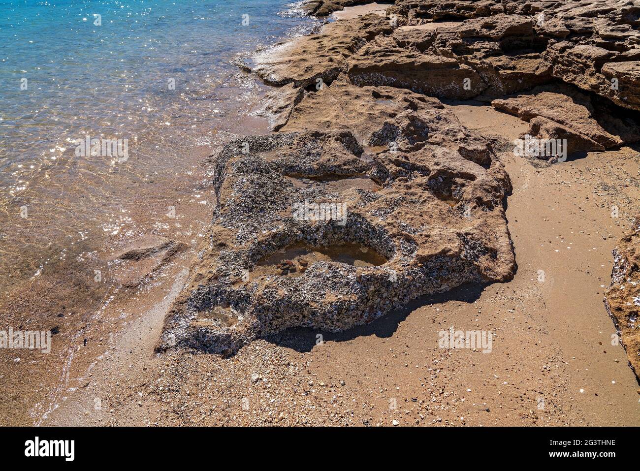 Shell covered rocks pitted by the ocean on the beach at low tide with ...