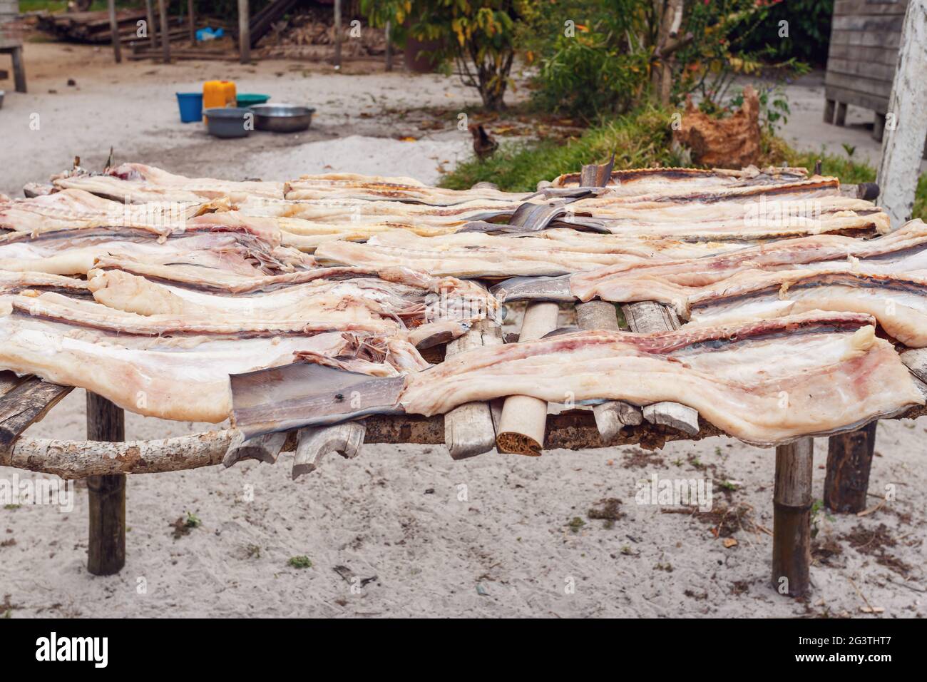 Drying fish in the sun, Madagascar Stock Photo - Alamy