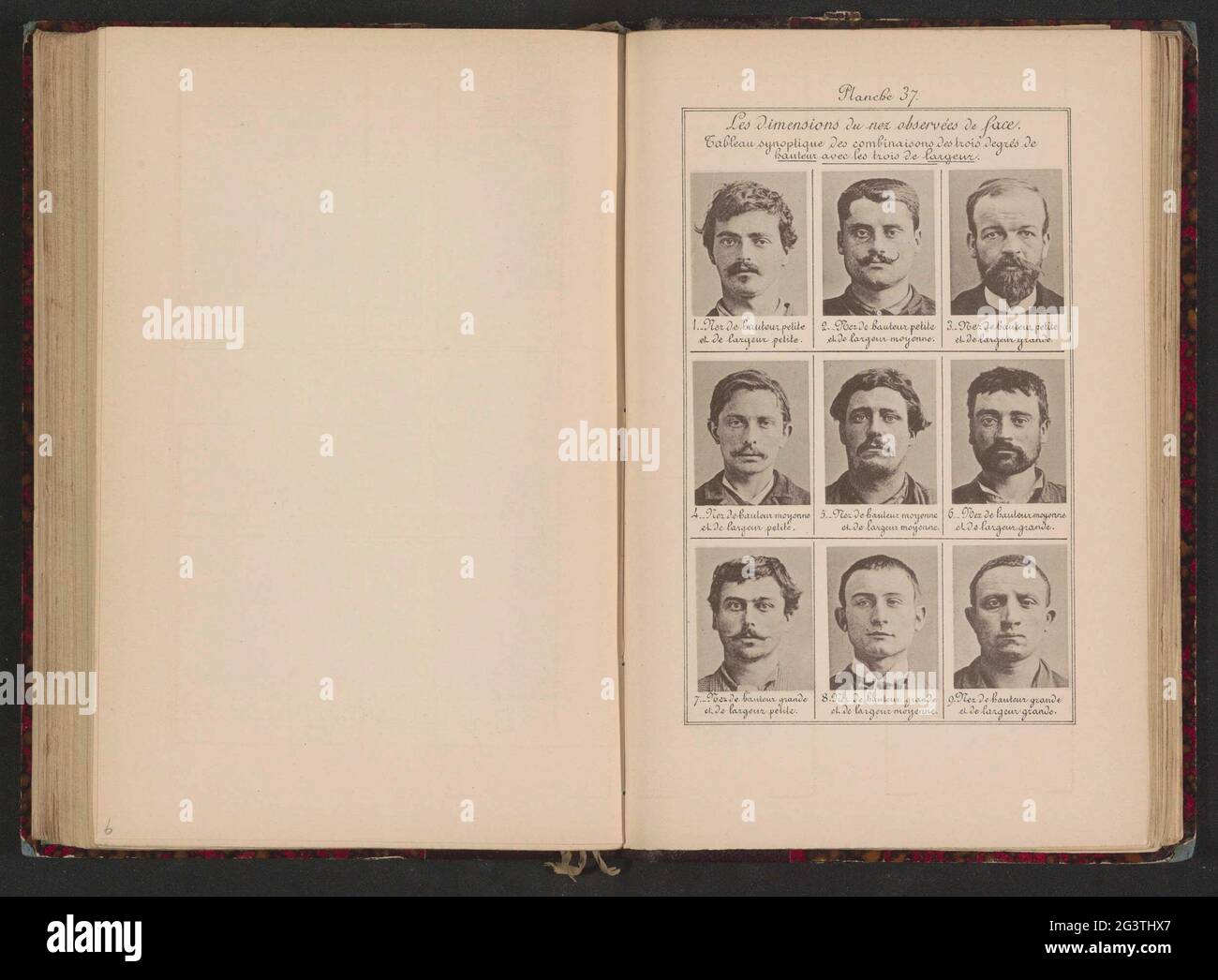 Nine men's heads in front view, arranged on the dimensions of their ...