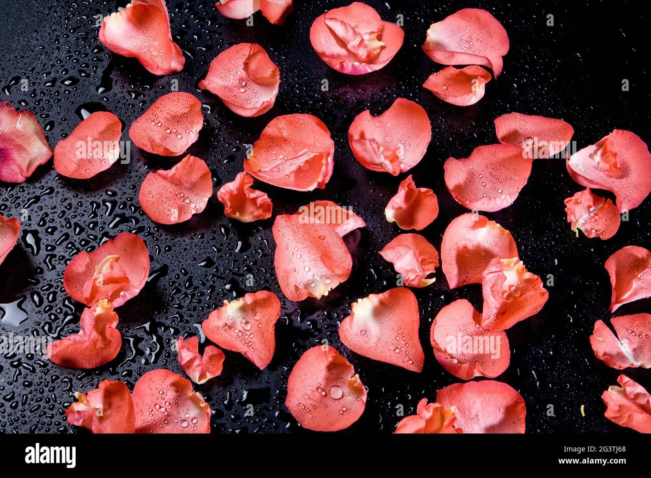 Macro image petals on hi-res stock photography and images - Alamy