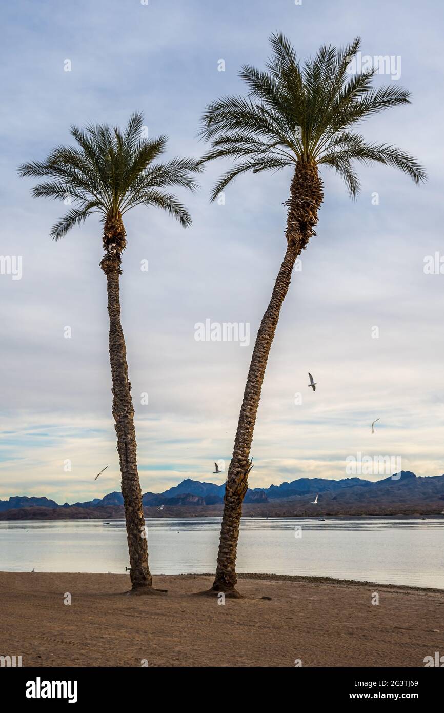 A breathtaking view at Lake Havasu, Arizona Stock Photo - Alamy