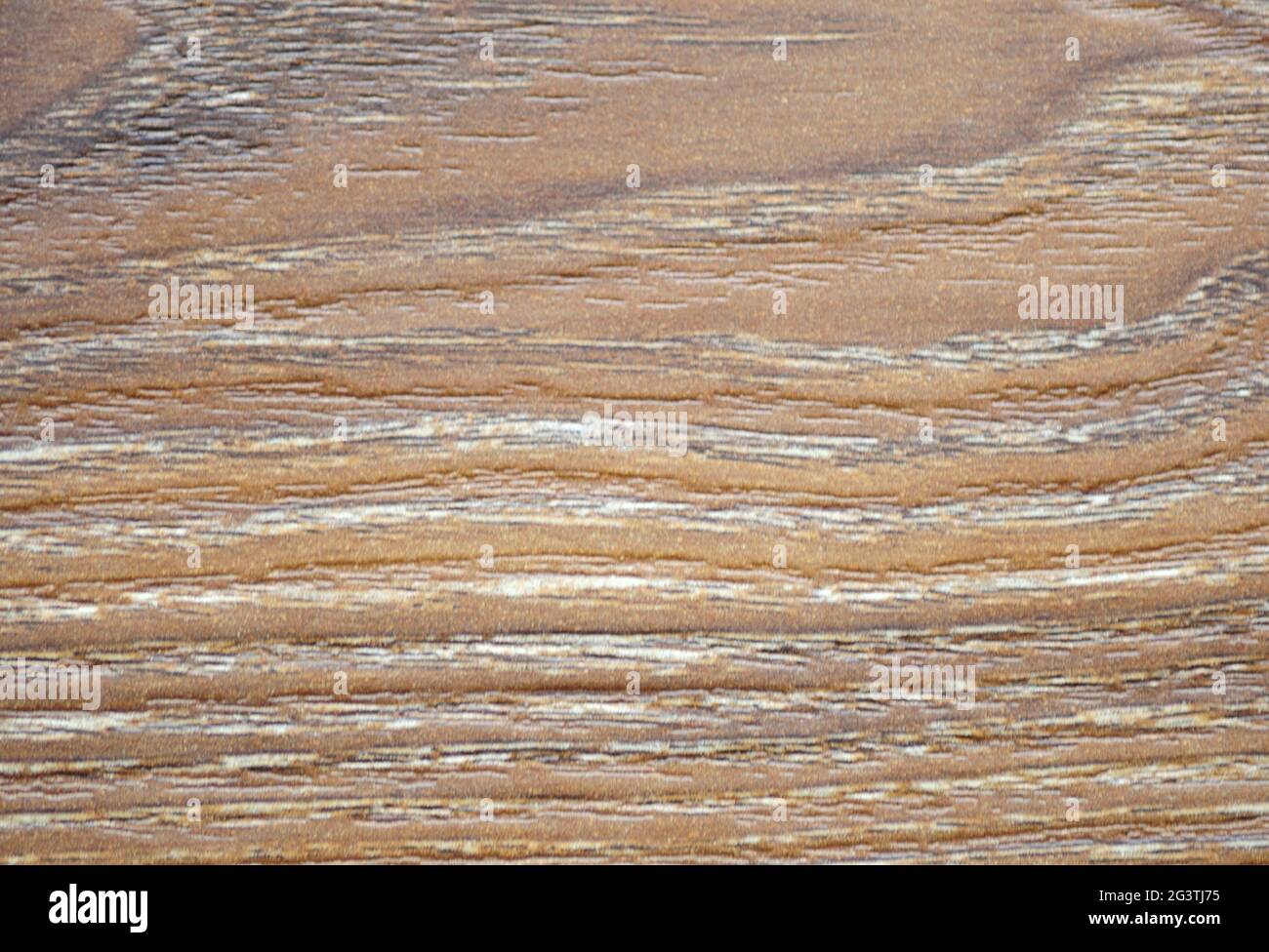 Dark beech, aged natural wood surface with a wavy pattern close-up ...