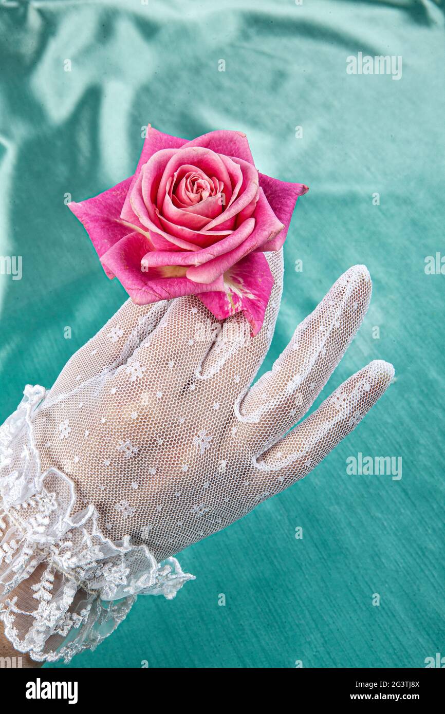 Hand And Rose Stock Photo - Alamy