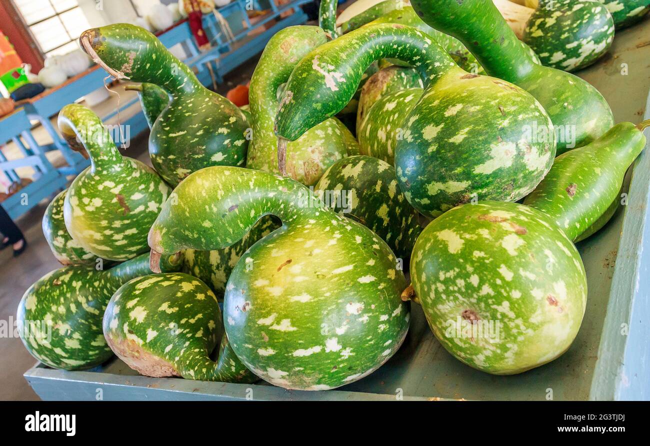 Speckled swan gourd hi-res stock photography and images - Alamy