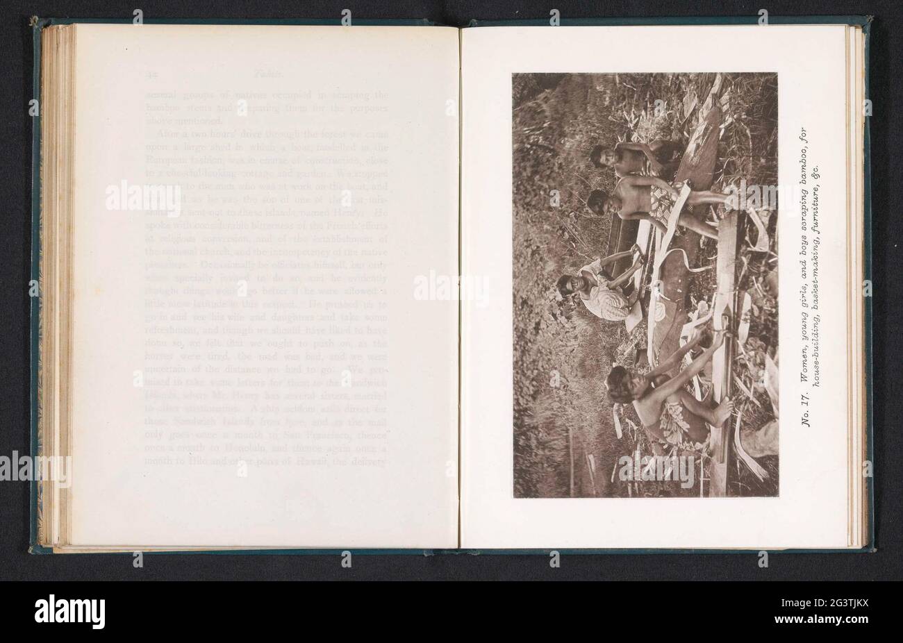 People who edit bamboo on tahiti; Women, Young Girls, And Boys Scraping ...